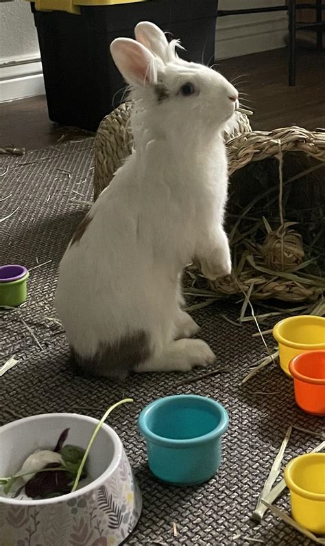 Looks Like I Caught Her Smoking Weed Xd Rrabbits