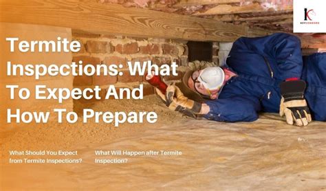 Termite Inspections What To Expect And How To Prepare Keyvendors
