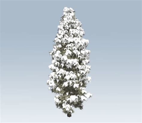 Rhino Tree Models Turbosquid