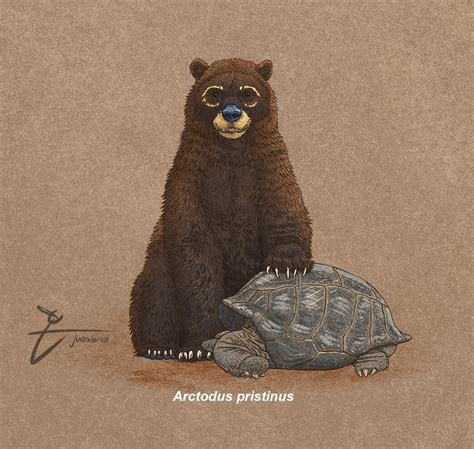 Arctodus Pristinus The Ancestor Of The Later Arctodus Simus By