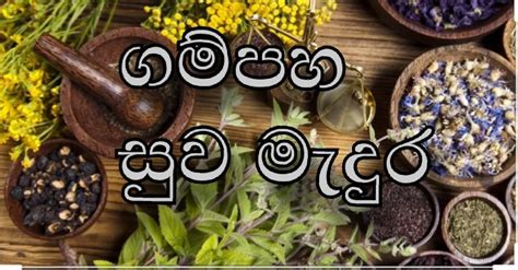 Longlife Cancer Research Foundation දීර්ඝායූ පිලිකා පරීක්ශණ පදනම ~~~~~පිලිකාවක් යනු කුමක්ද