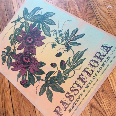 Passion Flower Native Wildflower Passiflora Incarnata Poster Hand