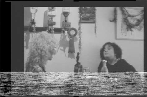 Visual Video Signal Errors · Oyvindln Vhs Decode Wiki · Github