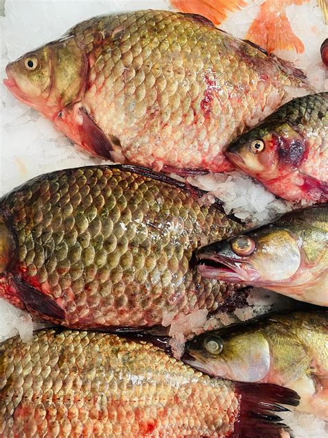 Vyganto Žuvis Ketvirtadienio20240118 Alytus