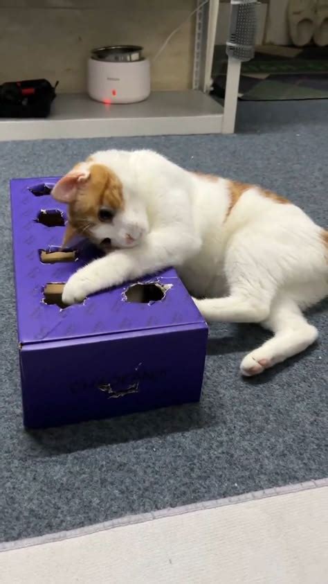 340 Library Program Ideas In 2025 Program Ideas Library Activities