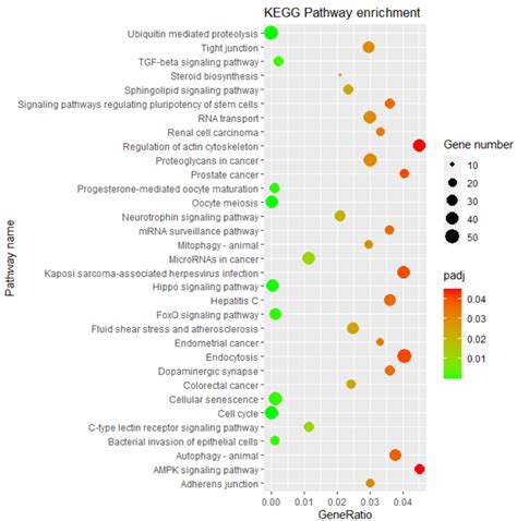 基于r的ggplot2包画kegg富集通路气泡图 Keggdot Ggplot 高低通路kegg Csdn博客