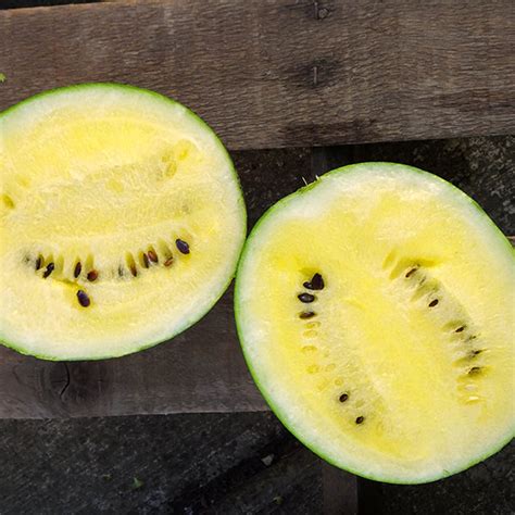Yellow Doll F1 Untreated Watermelon Seeds Osborne Farm Seeds