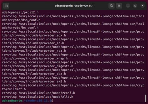 How To Install Node Js On Ubuntu 24 04 Linux Genie