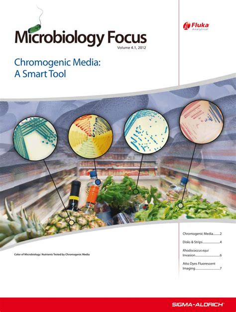 Pdf Rhodococcus Equi Invasion Of Non Phagocytic Cells