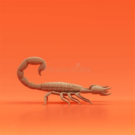 Scorpion Side Stock Illustrations 47 Scorpion Side Stock