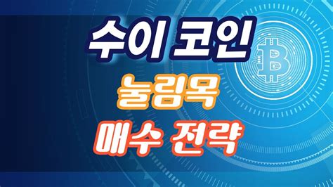 수이 코인 전망 수이 코인 눌림목 매수전략 주말 목표가는 Youtube