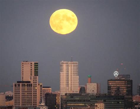 Что сулит Луна для всех знаков зодиака гороскоп на ближайшее время