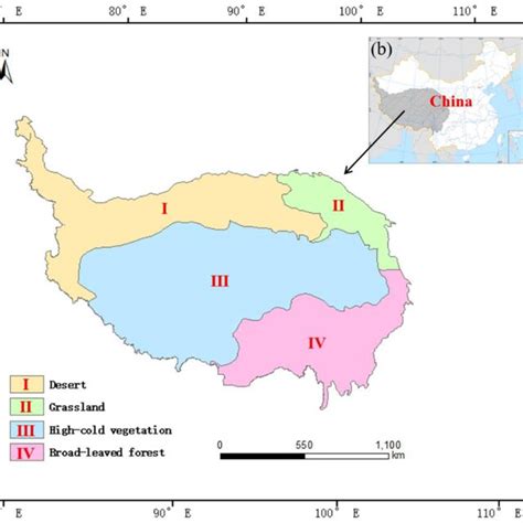 The Average Net Primary Productivity Npp In Different Vegetation Download Scientific Diagram
