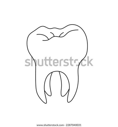Vector Isolated One Single Simplest Molar Stock Vector Royalty Free