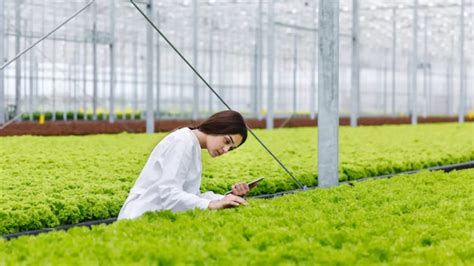 Learning Center Agriculture Sustainable Farming Practices
