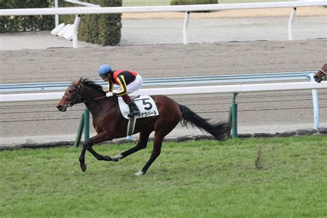 福永祐一騎手がラスト小倉でv「人気をしていたから勝てて良かった」 サンスポzbat