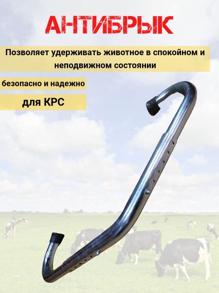 Антибрык оцинкованный для КРС раздвижной - купить с доставкой по ...