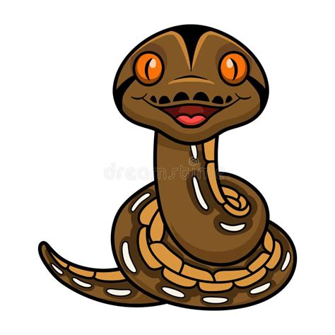 Python Reticulatus Stock Illustrations 379 Python Reticulatus Stock Illustrations Vectors