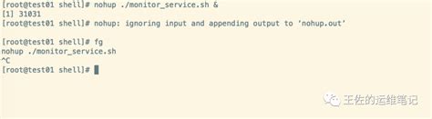 nohup命令详解 关闭终端程序依然运行 墨天轮