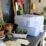 The Best Seed Storage For Keeping Seeds Organized
