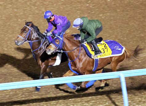 【香港国際競走】シュネルマイスターとウインマリリンが豪華併せ馬 手塚調教師「2頭とも動きいい」 スポーツ報知