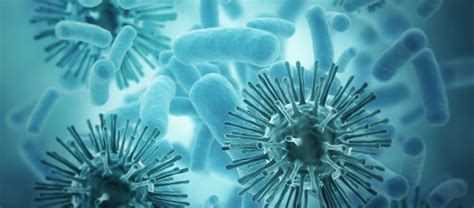 Gastric Cancer Foundation Outlooks On Epstein Barr Virus Associated