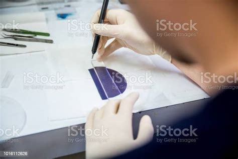 연구원 준비 실리콘 흑연 입자에 대 한 기초 및 연구에 대 한 샘플을 만들 Stem 주제에 대한 스톡 사진 및 기타 이미지 Stem 주제 과학 과학 실험 시료