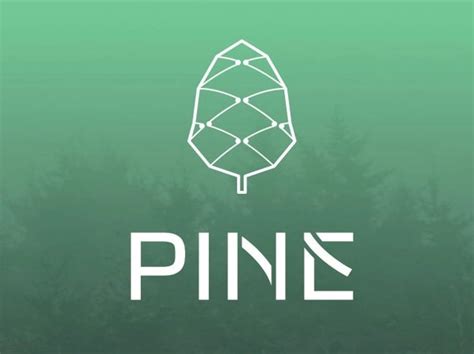 Pine Protocol Decentralized Finance Iqwiki