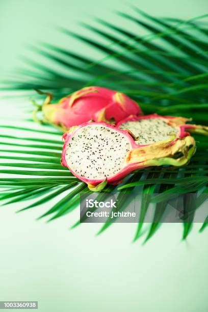 Pitahaya 또는 드래곤 과일 열 대 녹색 손바닥 위에 청록색 바탕에 나뭇잎 공간에 복사 합니다 팝 아트 디자인 크리에이