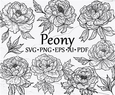 Peony Svg Clipart Peony Line Art Svg Spring Outline Vector Clipart