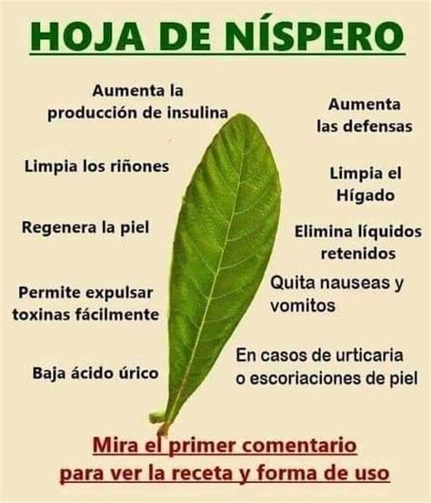 Pin En Salud Y Remedios