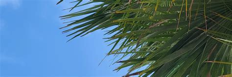 Yuliana Krutaya Portfolio