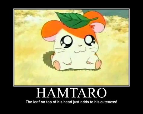 Hamtaro Hamtaro Memes Anime