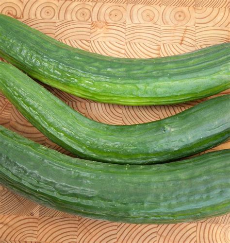 Roxynante Organic Cucumber Seeds West Coast Seeds
