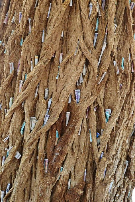 Омогшил Ингээд баяжсан хүн хэр олон байна Хамгийн дээд