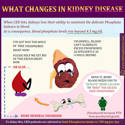 Red Phosphorus Effects On Humans At Victor Easley Blog