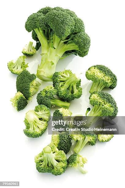 Broccoli Stem Photos And Premium High Res Pictures Getty Images