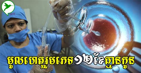 ថ្មីៗនេះwhoរាយការណ៍ថា មនុស្សម្នាក់ក្នុងចំណោមមនុស្ស៦នាក់នឹងគ្មានកូន ព្រោះមូលហេតុធំៗនេះ