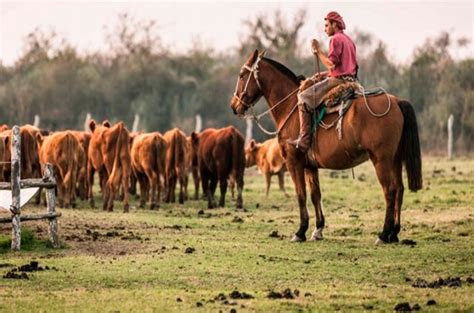 Salarios De Peones Rurales Más Campo Periodismo De Campo