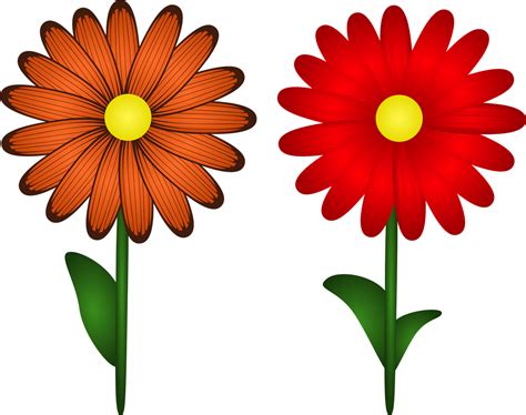 Dibujo De Margarita Gerbera Margarita Gerbera Blanca Vectores