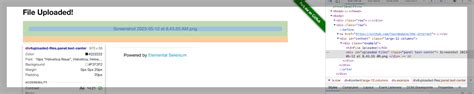 How To Use Cypress For File Upload And Download Lambdatest