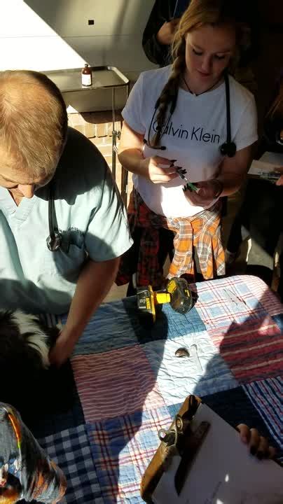 Amanda Fallon On Linkedin What Do We Do At Mata Vet Science Class Yepneuter Goats