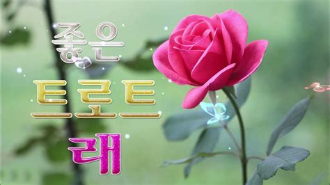광고없는 신나는 트로트 메들리 1시간 🌸 신나는 명품 트로트 60곡 울엄마어부바가지마라사랑님꽃이핍니다쓰러집니다엄지척