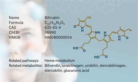 Bilirubin From Waste Pigment To Regulatory Metabolite Biocrates