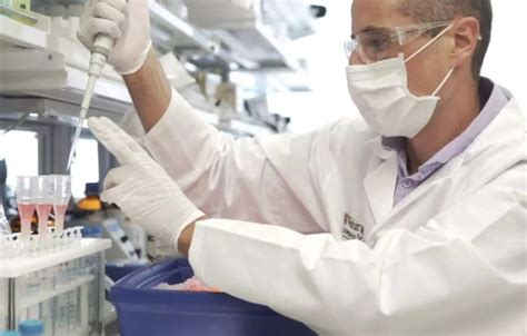 Study In Mice Finds Memory Problems In Old Age May Be Linked To Key