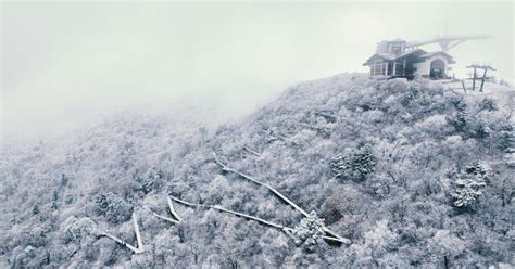 Yongpyong Ski Resort Guide Skiing In Gangwon Do Trazy Blog