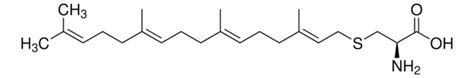 Cysteine Sigma Aldrich