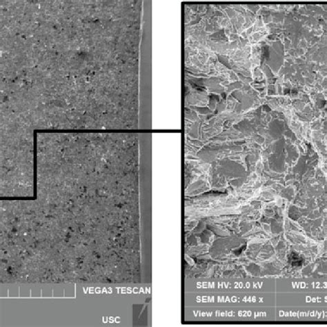 7 Fracture Surface Image Taken From The Graded Specimen Showing The Download Scientific