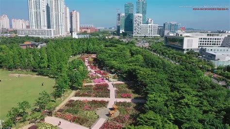 8k 초고화질 송도 해돋이 공원 대한민국 고화질 드론 촬영 시네마틱아카이브 Youtube