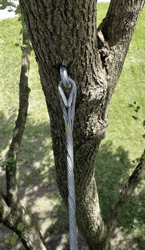 Cable And Brace Rod Systems Ahlum And Arbor